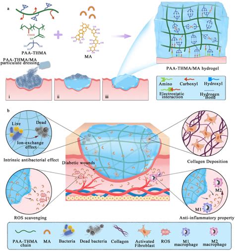 A Dual Component Particulate Dressing For Simultaneous Microenvironment Modulation And Tissue
