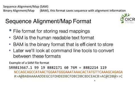 sam bam pdf technology and computing