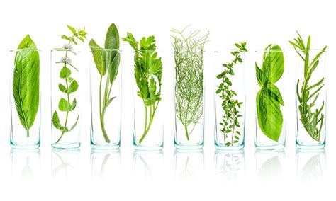 Product Range Progast