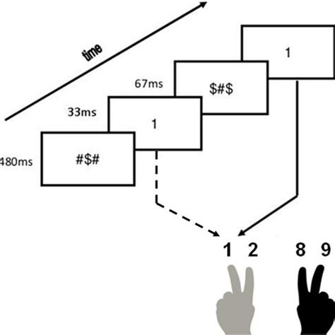 Experimental Procedure Example Of A Congruent Trial In The Masked