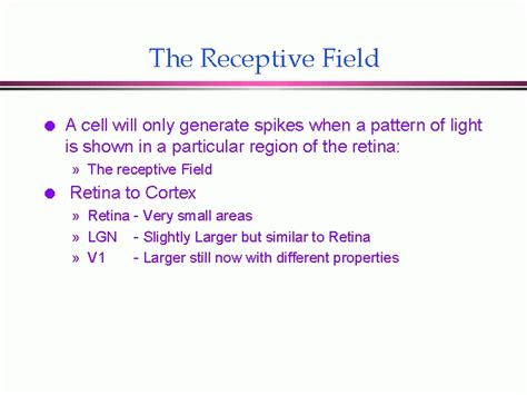 The Receptive Field
