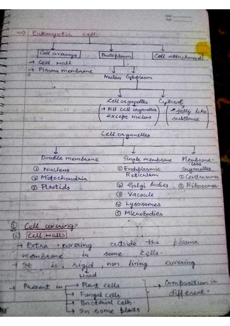 SOLUTION Eukaryotic Cell Structure Studypool