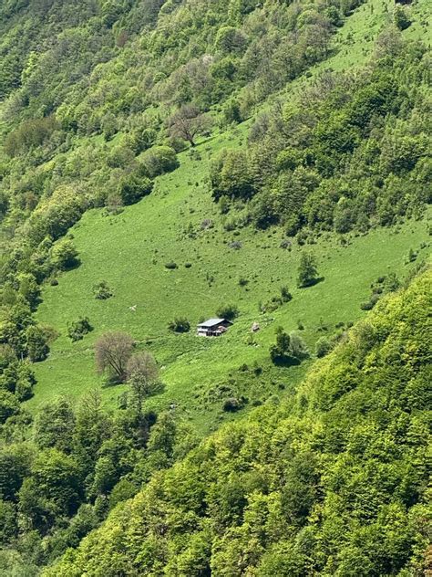 არაგველი Aragveli Added A New არაგველი Aragveli