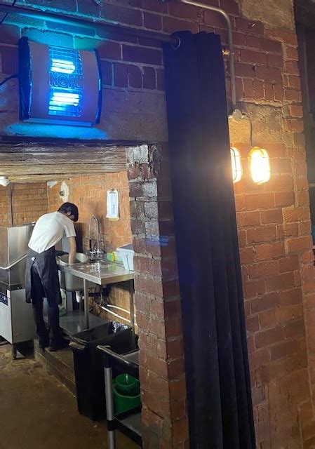 Free Uk Made Flykiller With The Ultimate Low Cost Service Package Uk