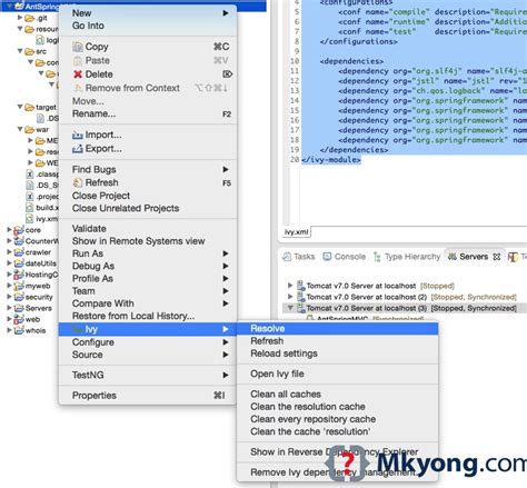 How To Debug Ant Ivy Project In Eclipse Ide