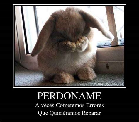 Perdoname Mi Amor Desmotivaciones Imagui