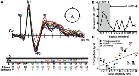 Cortical Event Related Potentials Erps Elicited By Musical Dyads A Download Scientific