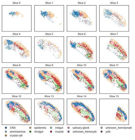 52 3d Reconstruction With Pairwise Alignment On Drosophila Data