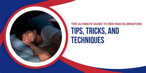 The Ultimate Guide To Bed Bug Elimination Tips Tricks And Techniques