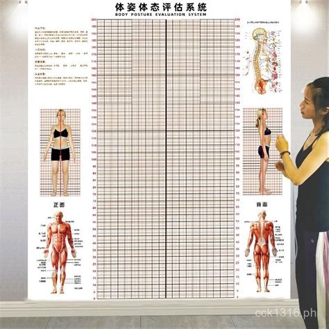 Wall Sticker Grid Paper Wall Yoga Studio Posture Assessment Chart