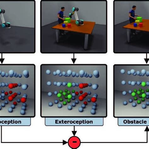 The Systems Main Components Proprioception Exteroception And The