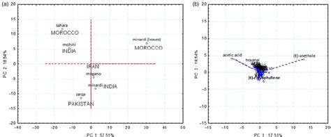 A Score Plot Pca For Main Variation Of Volatile Components Among