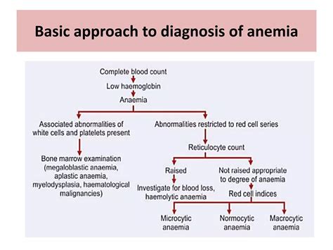 Diagnosis Of Anemia Pptx