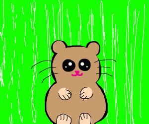 Hamster In The Matrix Drawception