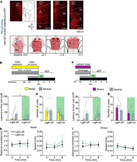 Photoinhibition Of Pv Interneurons Does Not Affect Affective State