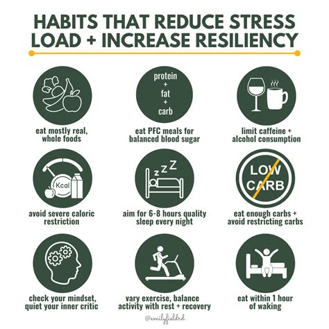 Habits That Reduce Stress Load Increase Resiliency Emily Field Rd