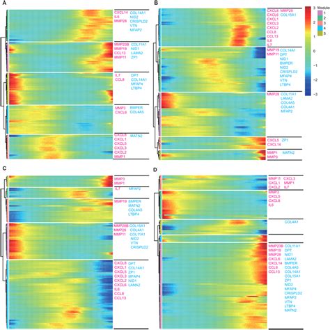 Gene Dynamics Of Extracellular Matrix Ecm And Pro‐inflammatory Genes Download Scientific