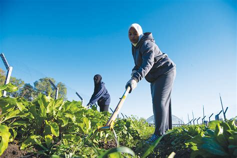 Biological Pest Control Examples For Sustainable Gardening