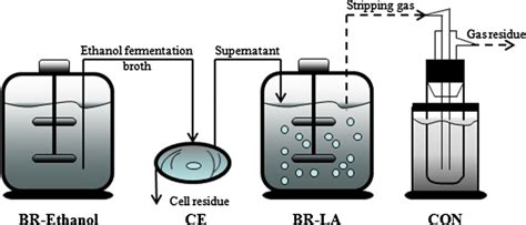 Schematic Diagram Of The Experiments Br Ethanol Bioreactor For Ethanol
