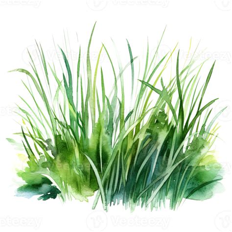 Watercolor Green Grass Illustration Grass Painting Grass Drawing