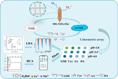 nanozyme colorimetric sensor array based on bimetal organic framework