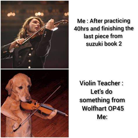 Violinist Memes A Violinist Played The Violin For 45 Minutes In The