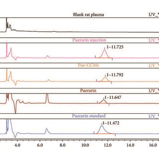 HPLC Chromatograms Of Specificity Investigation Download Scientific Diagram