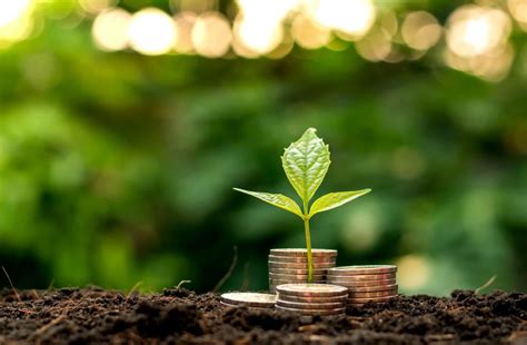 The The Essential Financehandbook For Business Owners