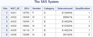 SAS PROC Format Predefined And User Defined Format In SAS