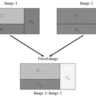 Presentation Of Different Classes On Spectral Images Download Scientific Diagram