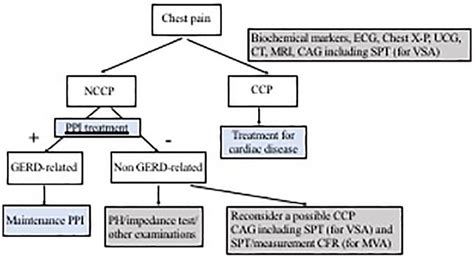 Management Algorithm Of Patients With Ccp Or Nccp Ccp Indicates
