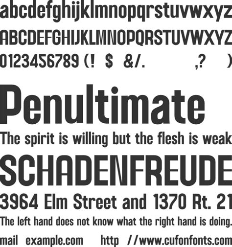 Nelson Font Download Free For Desktop And Webfont