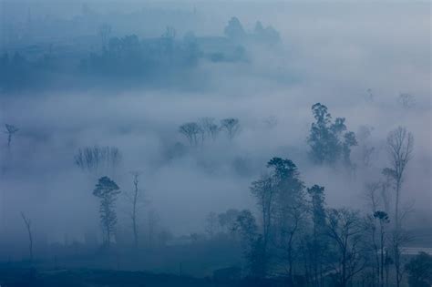 Premium Photo Misty Fog