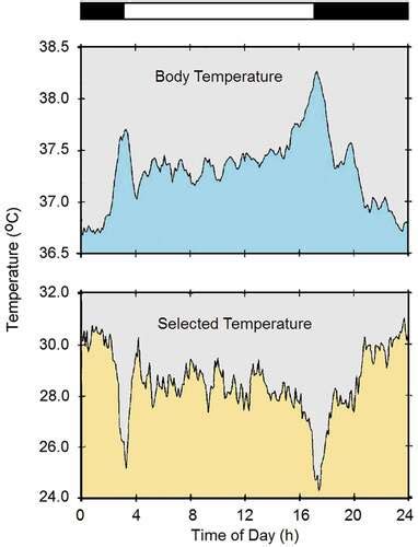 Full Article Circadian Rhythmicity Of Body Temperature And Metabolism
