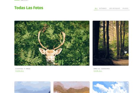 cms image gallery pretty old better methods out there now webflow