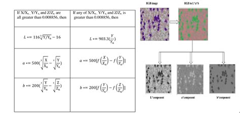 Lab Space Correlation Results Download Scientific Diagram