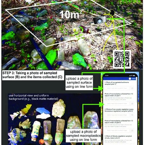 An Example Of Macroplastic Litter Seen On Sampling Plot Surface A Download Scientific