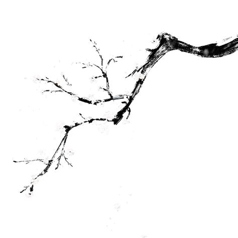 一个简单的梅花素材，有红色白色，下雪非下雪 半次元 Acg爱好者社区