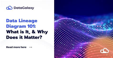 DataGalaxy on LinkedIn: Data Lineage Diagram 101: A Comprehensive Guide