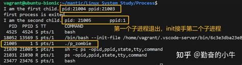 彻底搞懂孤儿僵尸守护进程 知乎