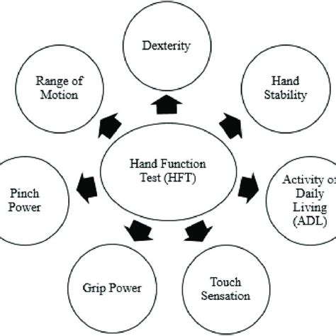 Components Involved In The Hand Function Test Hft Download