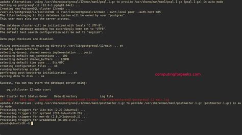 install postgresql 12 on ubuntu 22 04 20 04 18 04 16 04 computingforgeeks
