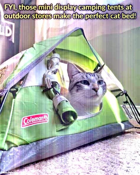 Layernorm What Is Going On · Issue 136 · Facebookresearchconvnext · Github