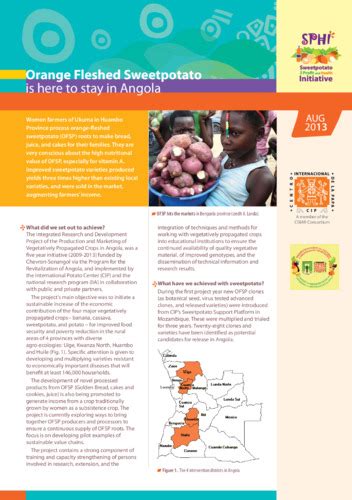 Orange Fleshed Sweetpotato Is Here To Stay In Angola International Potato Center