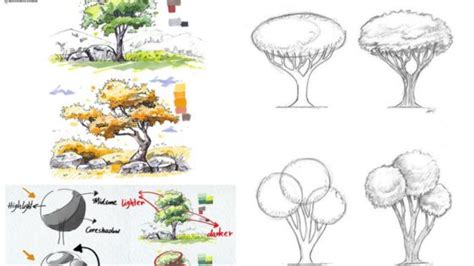 12 Tree Drawing Tips Boost Your Art Skills Today Sky Rye