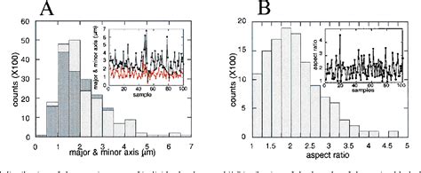 Figure 3 From Shape Anisotropy Of A Single Random Walk Polymer Semantic Scholar