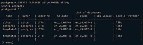 如何在 Debian 12 上安装 Postgresql 和 Pgadmin 工具