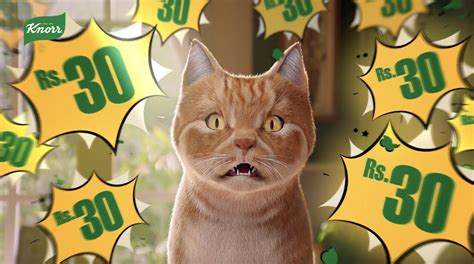 Farhan Aslam On Linkedin Sharpimage Knorr Recentwork Animation Animationproducer