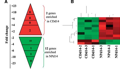 Figure 10 From Bovine Pretransfer Endometrium And Embryo Transcriptome