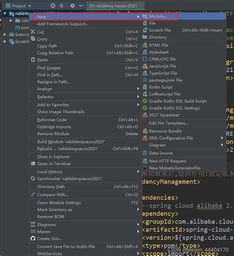 rabbitmq nacos整合 rabbitmq nacos csdn博客
